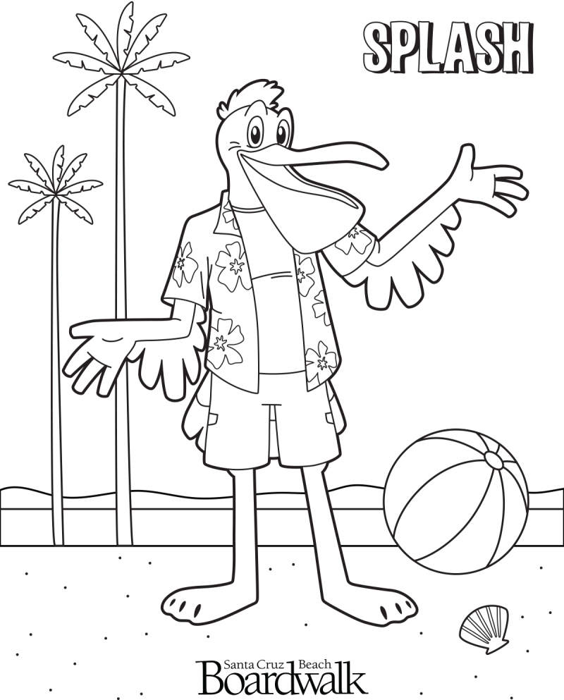 Meet Splash the Pelican - Santa Cruz Beach Boardwalk Amusement Park